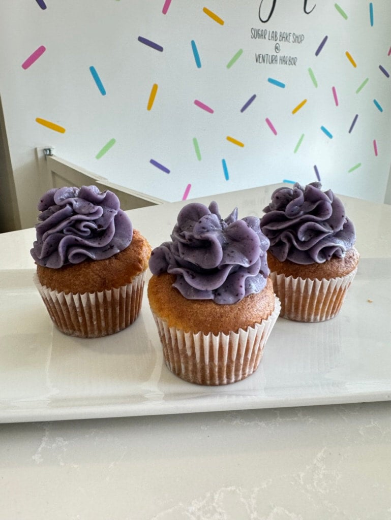 Mini Cupcakes | Sugar Lab Bake Shop